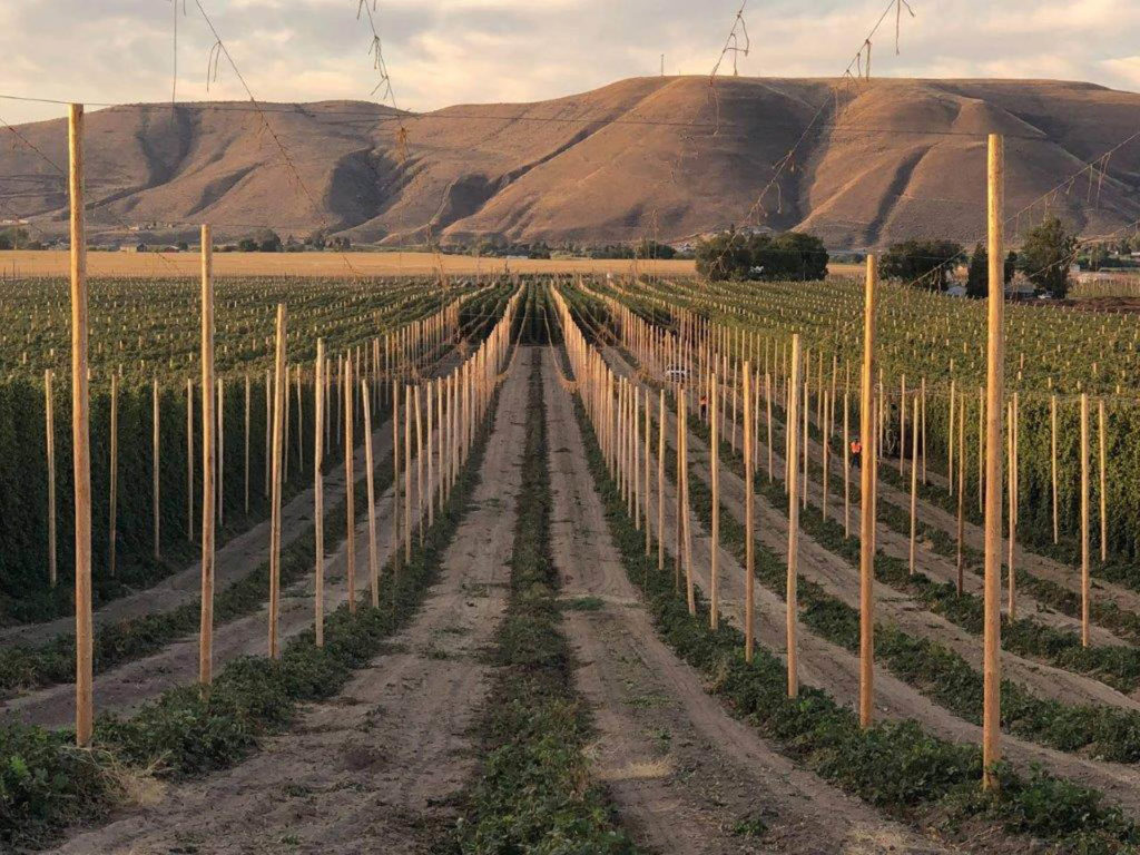 Pac West Lumber – Pac West Lumber